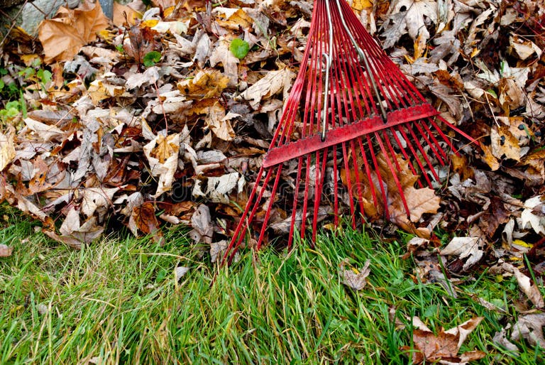 4,959 Raking Leaves Stock Photos - Free & Royalty-Free Stock Photos ...
