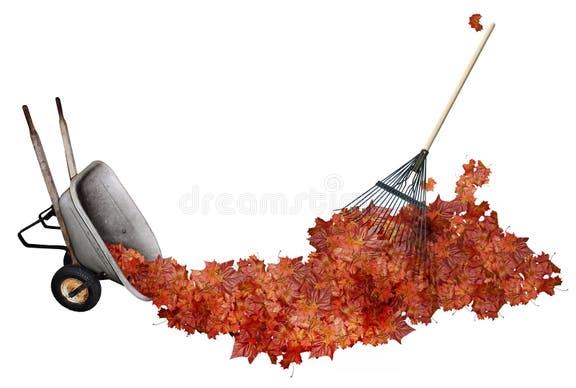 Raking leaves stock image. Image of autumn, wheel, white - 23447425