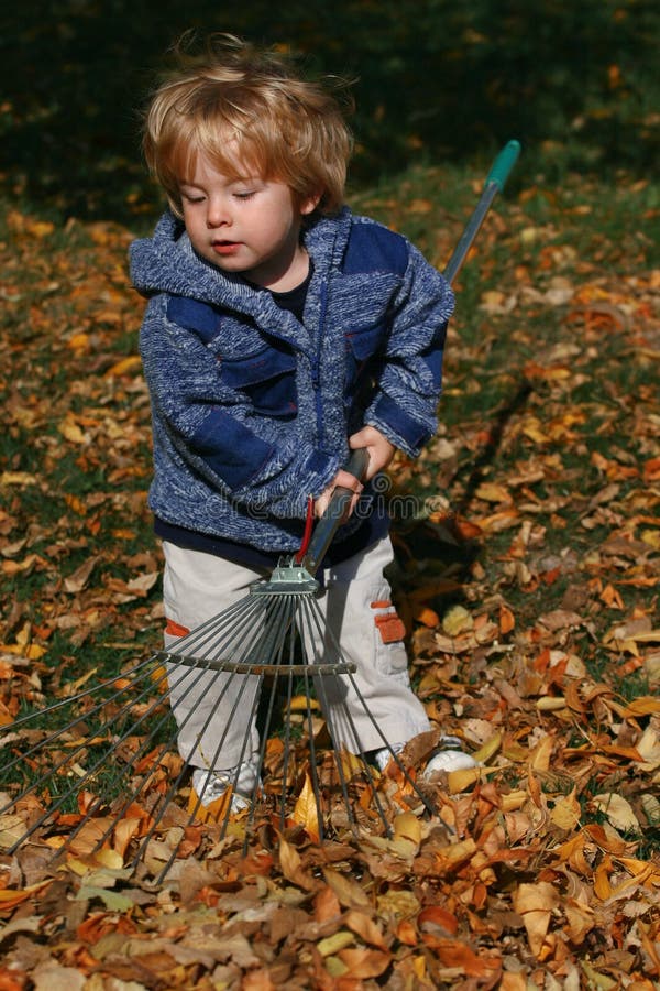 Young Children Raking Autumn Leaves Stock Photo - Image of fall, raking ...