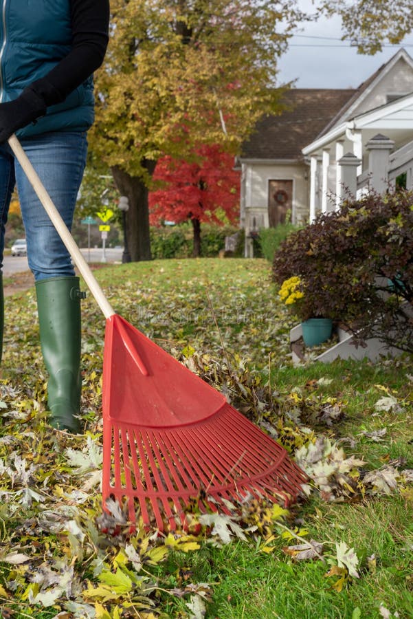 Raking leaves in fall stock photo. Image of caucasian - 133322170