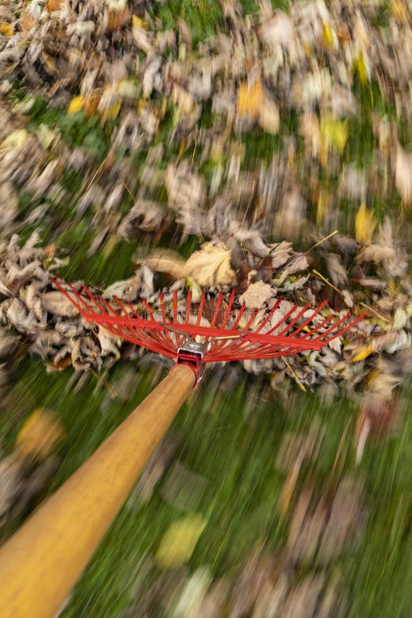 Raking Leaves Fast stock photo. Image of fast, abstract - 130104882
