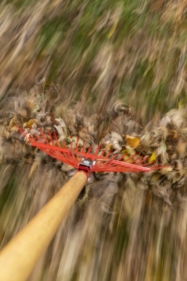 Raking Leaves Fast stock photo. Image of abstract, green - 130105102