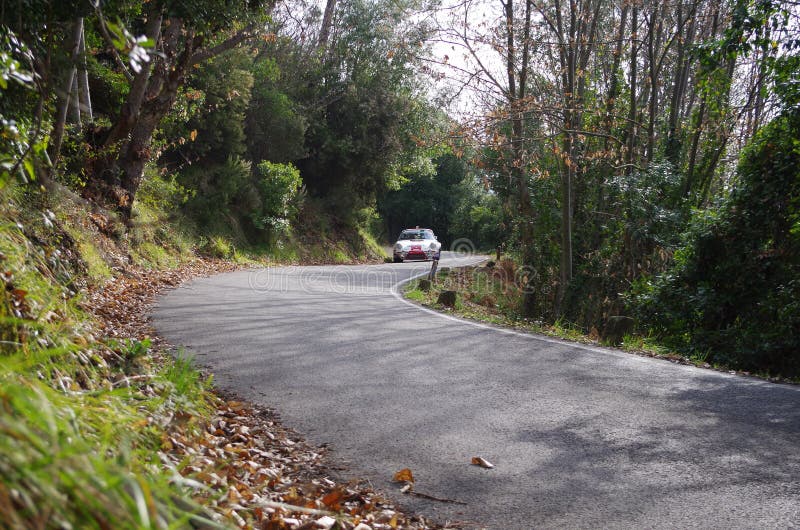 Rally Car editorial image. Image of greenery, stage, foliage - 39902420