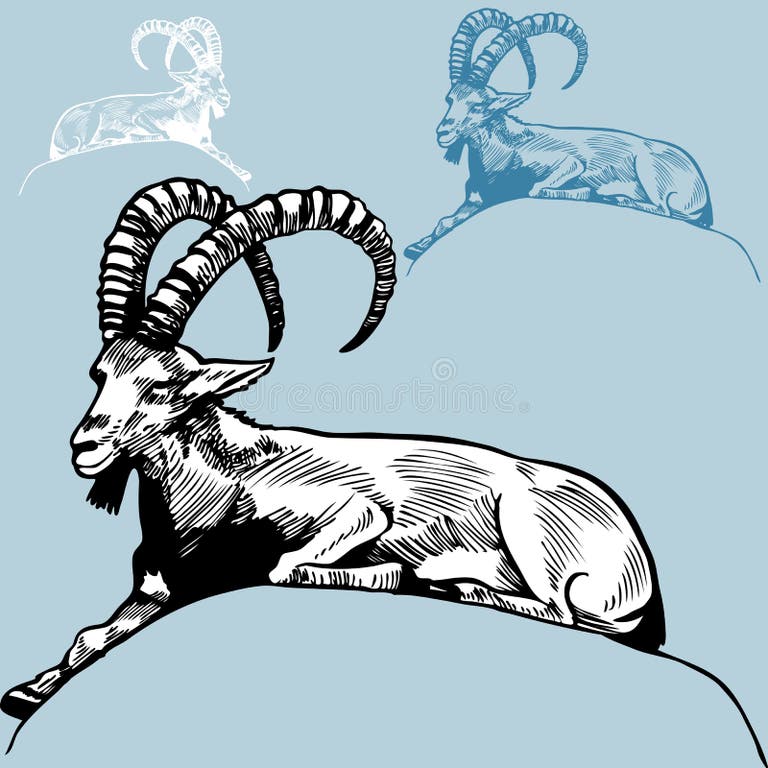 Ram Sketch Stock Illustrations – 4,050 Ram Sketch Stock Illustrations ...