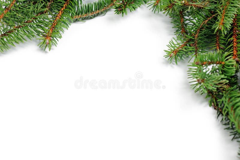 Sammansättning Från Granris Med Skugga Fotografering för Bildbyråer ...