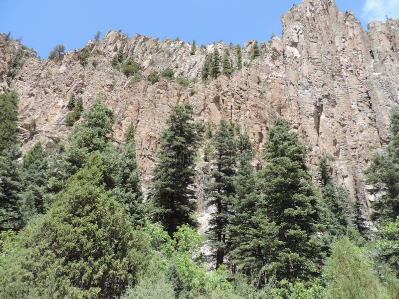 Ram stock image. Image of tree, beautiful, forest, mountains - 117900049