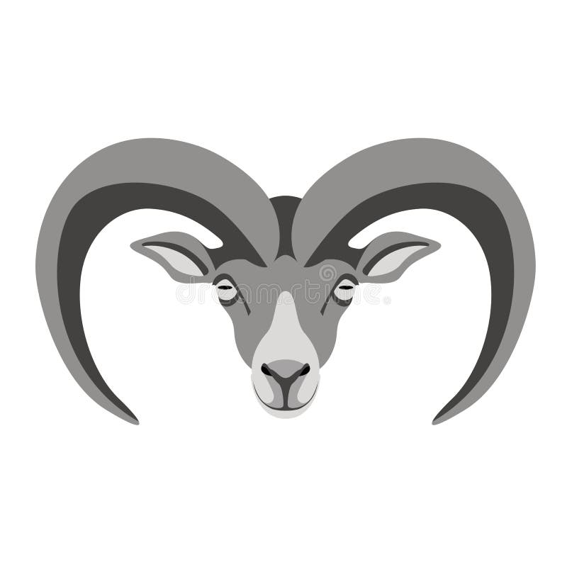 Ram Face ,vector Illustration ,front View Stock Vector - Illustration ...