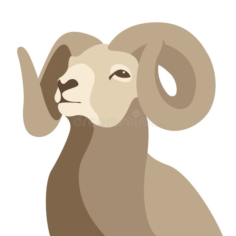Vector Illustration of a Ram Head Stock Vector - Illustration of ...
