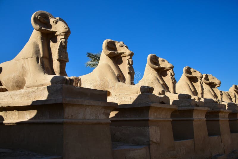 Ram-headed Sphinx at Karnak Temple, Egypt Stock Photo - Image of nile ...