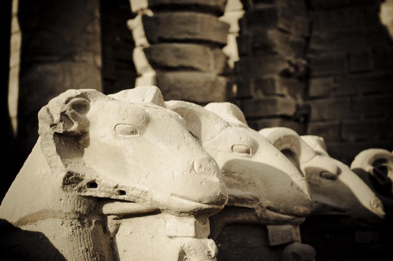 Ram Headed Sphinx Sculptures, Karnak, Egypt., Karn Stock Image - Image ...