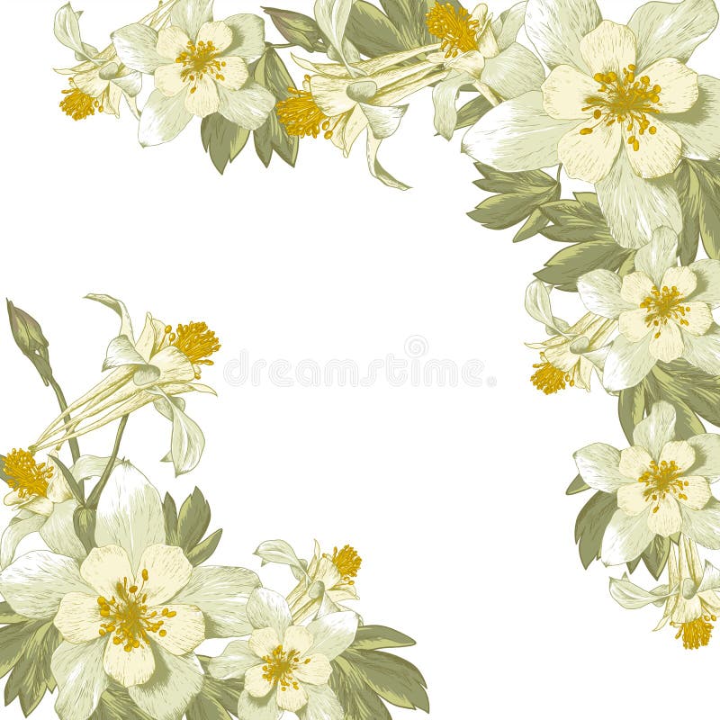 Ram Med Vita Blomma Blommor Vektor Illustrationer - Illustration av ...