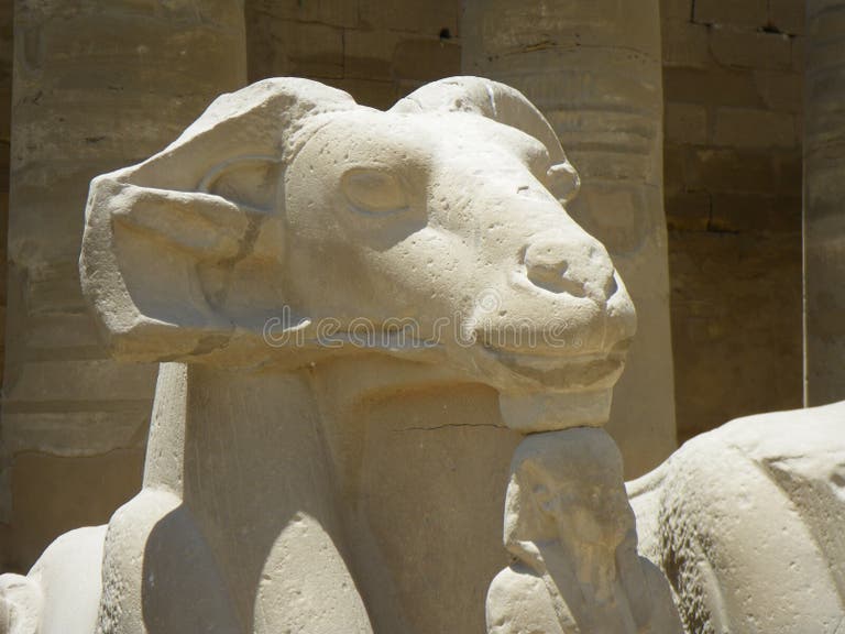 Ram Statue at Karnak Temple, Luxor / Egypt Stock Image - Image of rams ...
