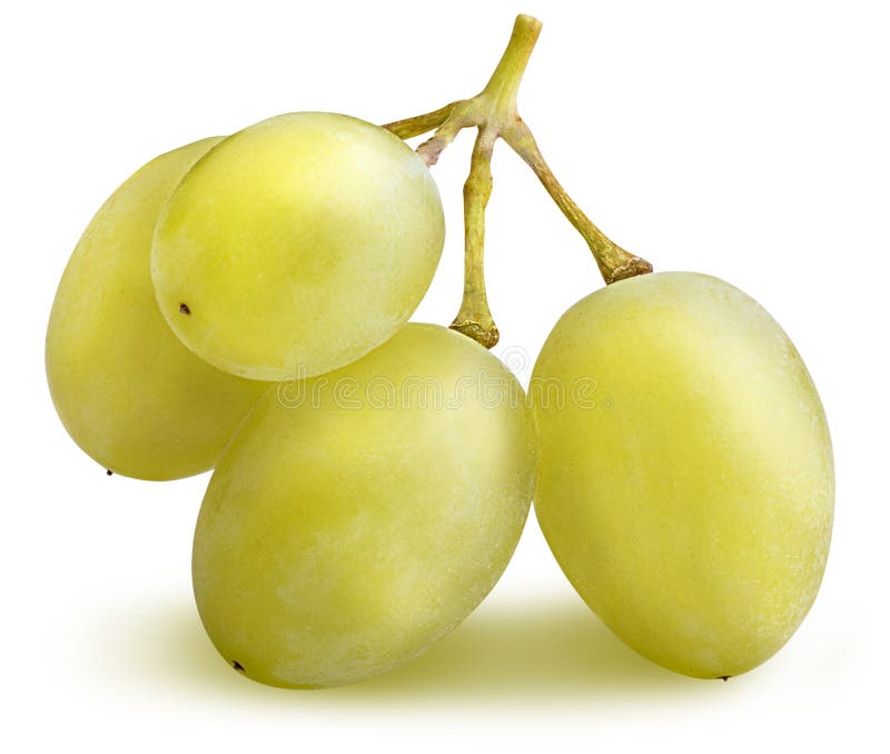 Rama De La Uva De Muscat Aislada Con La Trayectoria De Recortes Imagen ...