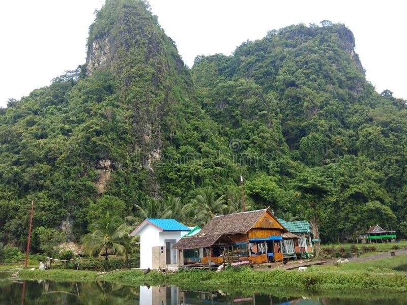 Ramang ramag stock photo. Image of ramang, south, sulawesi - 113498168