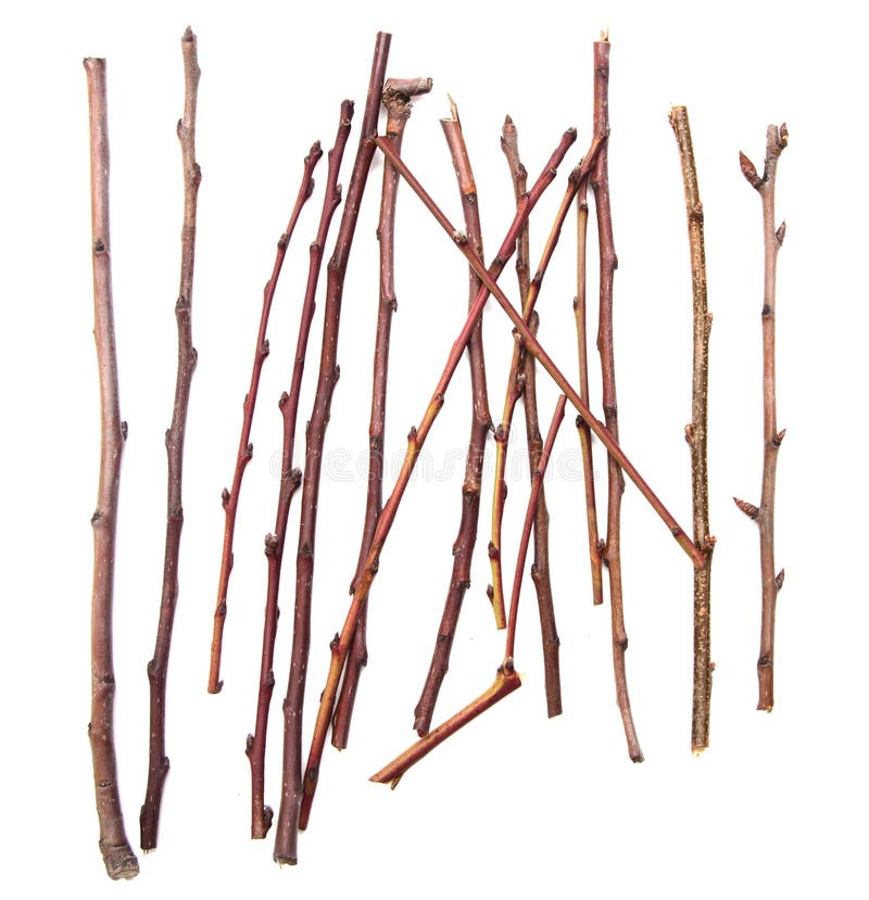 Ramitas De Madera Aisladas Sobre Un Blanco Imagen de archivo - Imagen ...