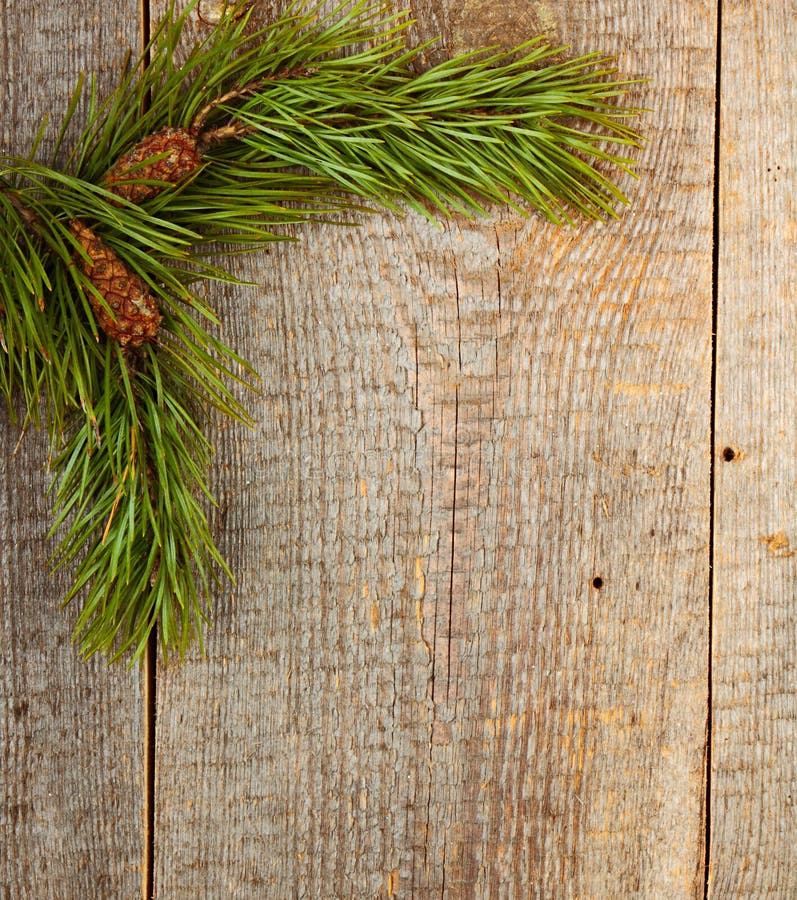 Ramas del pino imagen de archivo. Imagen de textura, rojo - 35886227
