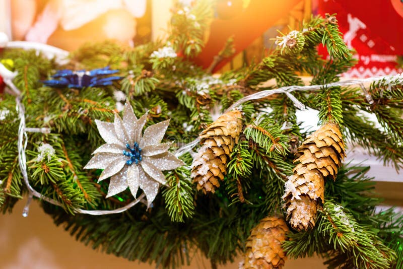 Ramas Spruce De La Navidad Con Las Decoraciones De Los Conos Imagen de ...