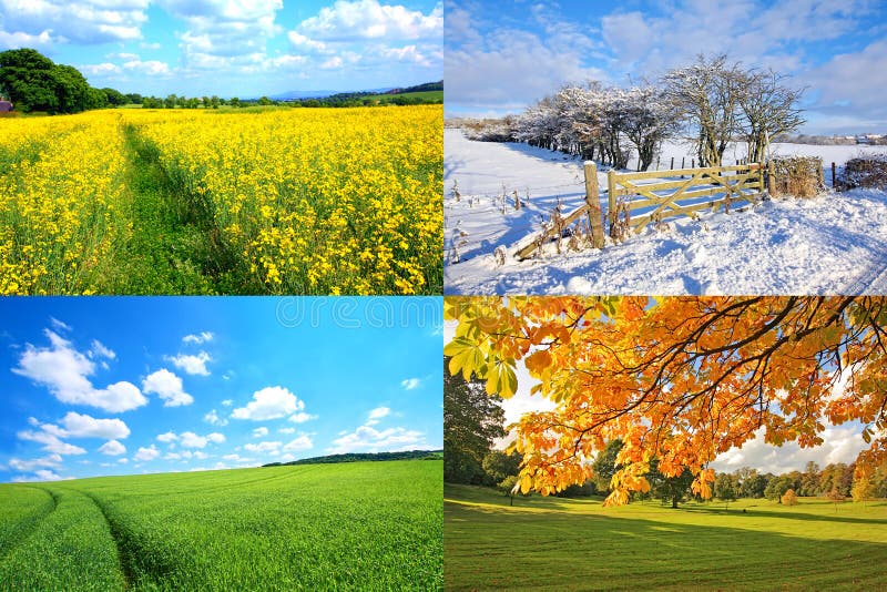 Ramassage de 4 saisons image stock. Image du nature, clear - 19134117