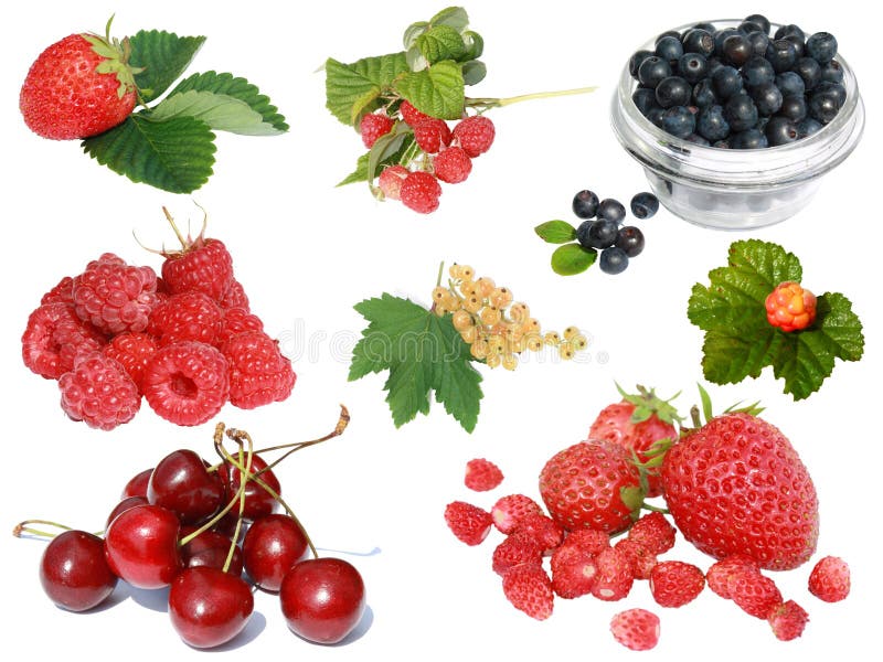 Les Fruits De Ramassage De Baie Ont Isolé Mûr Photo stock - Image du ...