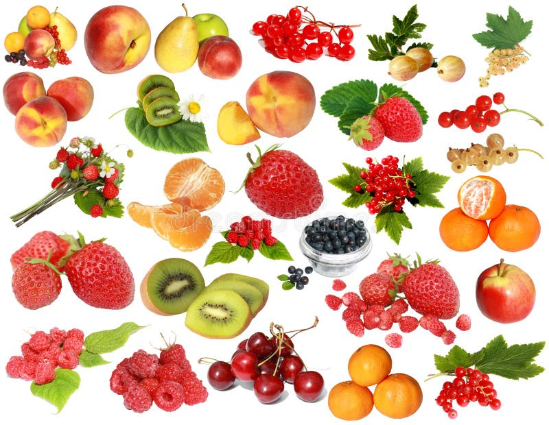 Ramassage de Fruit-baie image stock. Image du pomme, corinthes - 18770489