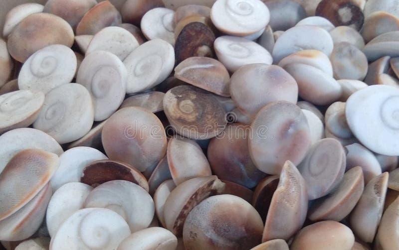 Ramayan or Doordarshan Logo Liks Stock Photo - Image of wood, logo ...