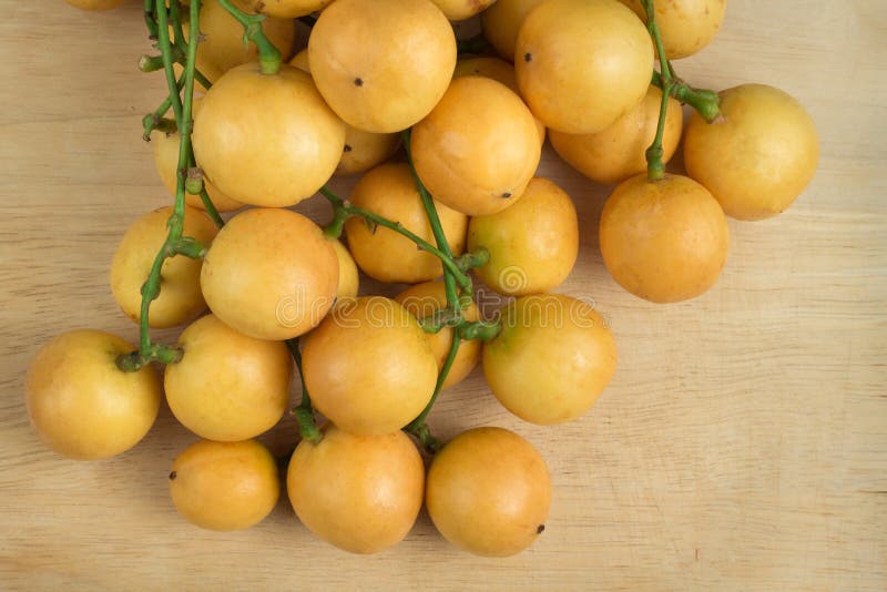 Rambai fruit stock photo. Image of tropical, asia, fruit - 42880694