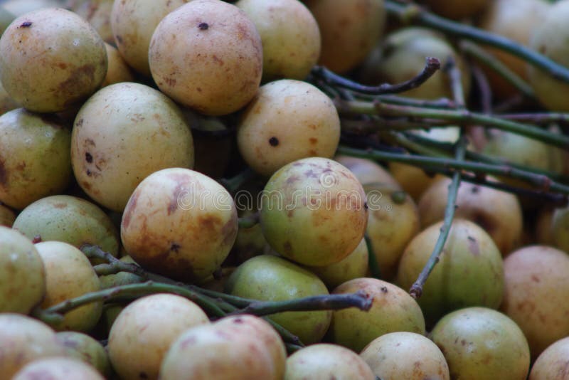 Rambai Fruit Yellow Fruit Background Tropical Asia Fruit Yellow ...