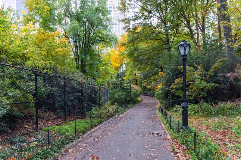 The Rambles Path stock image. Image of park, walkway - 259722089