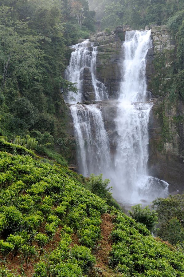Ramboda falls in Sri Lanka stock image. Image of mountain - 47661851