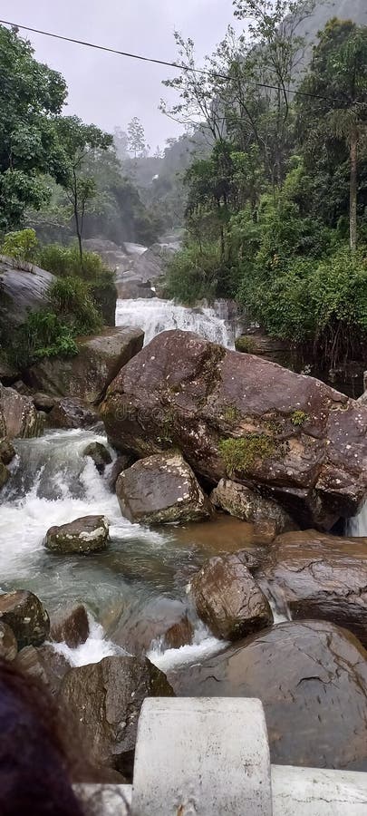 Ramboda water fall stock photo. Image of ravine, woodland - 255655498