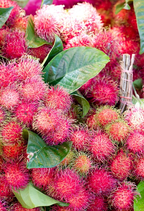 Ramboutan. image stock. Image du groupe, frais, agriculture - 36626917