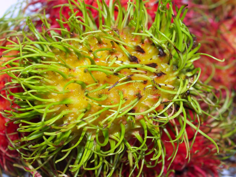 Fresh Tuna at Fish Market stock image. Image of ingredients - 8301323