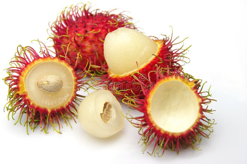 Rambutan stock image. Image of delicious, delicacy, rambutan - 14495959