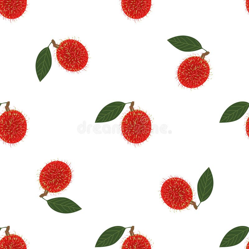 Rambutan Tree Stock Illustrations – 216 Rambutan Tree Stock ...