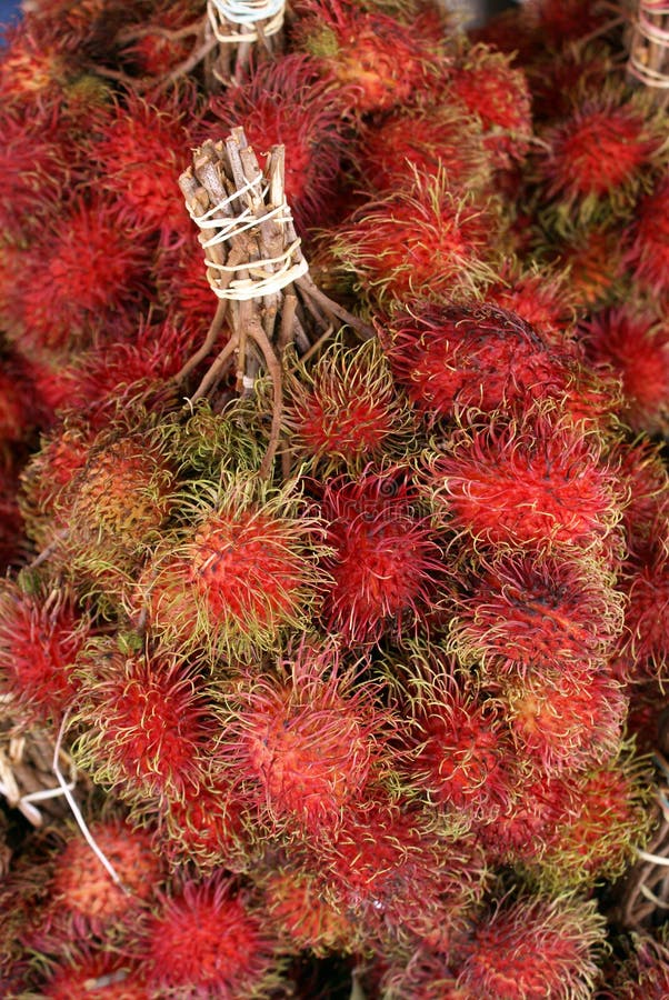 Rambutan stock photo. Image of healthy, green, gourmet - 5901308