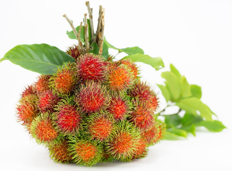 Rambutan foto de archivo. Imagen de asia, dulce, manojo - 93048350