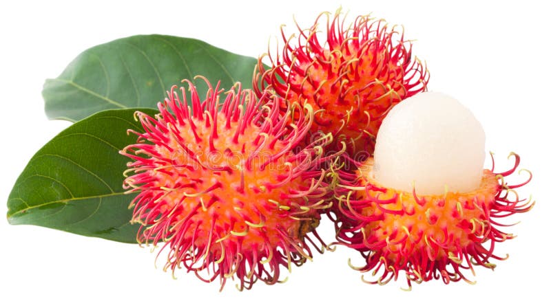 Rambutan asiático da fruta foto de stock. Imagem de vermelho - 20001452