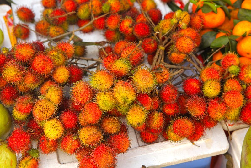 The Vietnamese Rambutan is a Tropical Fruit. Here a Rambutan in a Tree ...