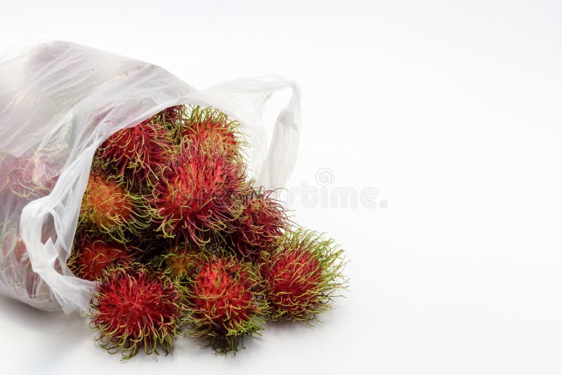 Rambutan stock photo. Image of harvest, sweet, dessert - 94165542