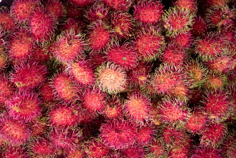 Rambutan De Las Frutas Tropicales Foto de archivo - Imagen de primer ...