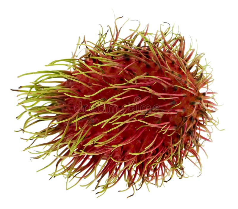 Rambutan, exotisch fruit stock foto. Image of vrucht, installatie - 7246508
