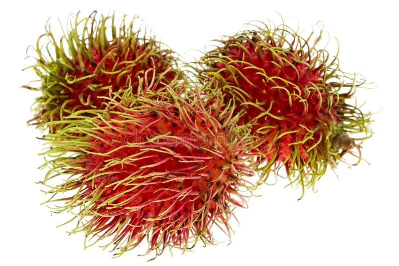 Rambutan, exotisch fruit stock foto. Image of netelig - 7246518