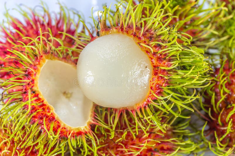 Rambutan Fruit with Red Shell on White Background Stock Photo - Image ...