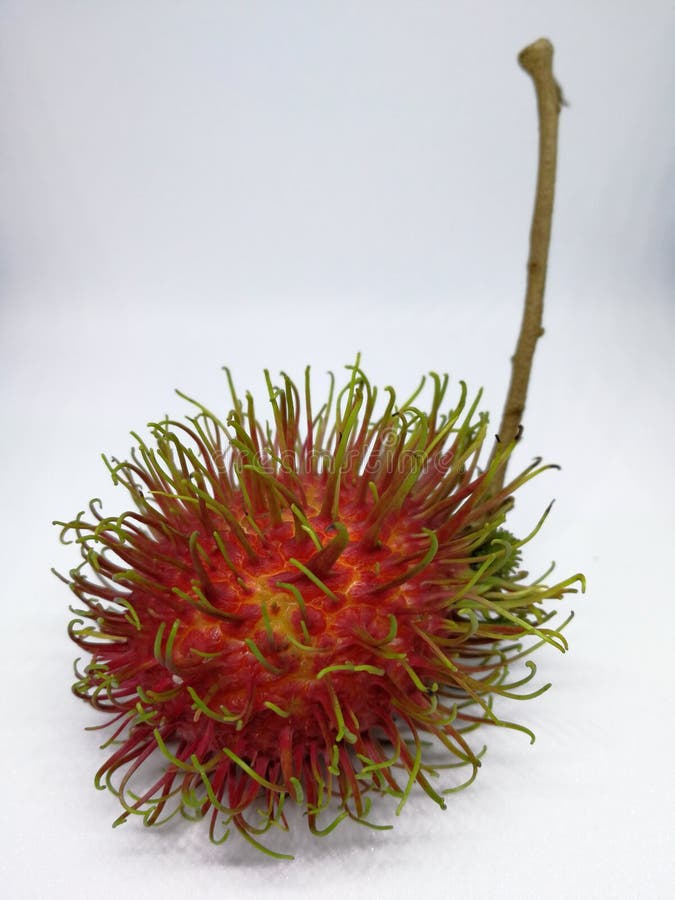 201 Single Red Rambutan Fruit Stock Photos - Free & Royalty-Free Stock ...