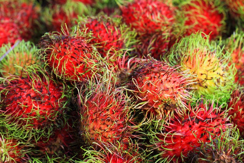 Rambutan texture stock photo. Image of fruit, tropical - 24763994
