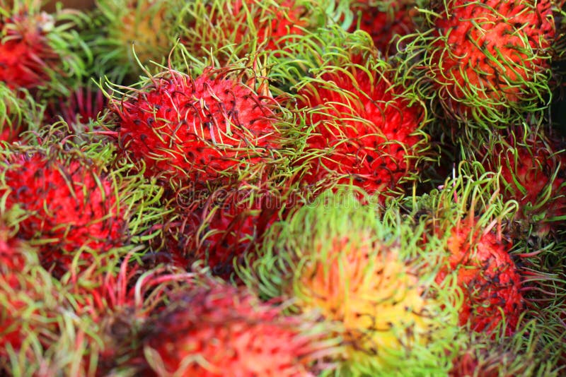 Rambutan texture stock photo. Image of fruit, tropical - 24763994