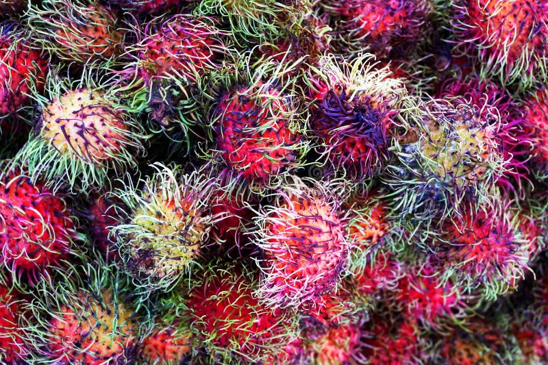 Rambutan texture stock photo. Image of fruit, tropical - 24763994