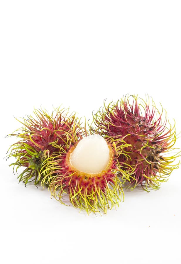 Rambutan Fruit on White Background Stock Photo - Image of healthy ...