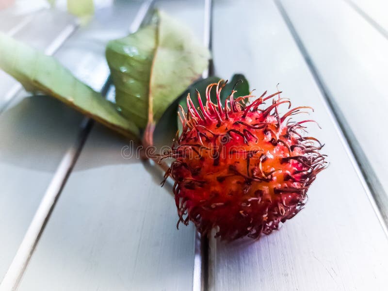 Rambutan Indonesian Fruit, Tropical Fruit Stock Photo - Image of ...