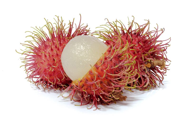 292 Wild Rambutan Stock Photos - Free & Royalty-Free Stock Photos from ...